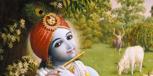 Why Krishna Wears Peacock Feathers – Krishna.com